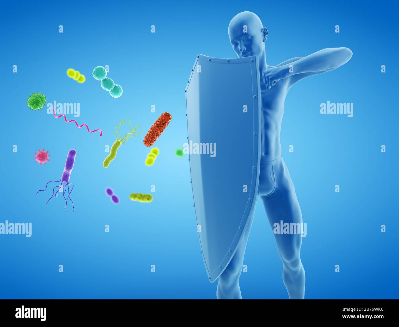 Immune system, conceptual computer illustration Stock Photo - Alamy