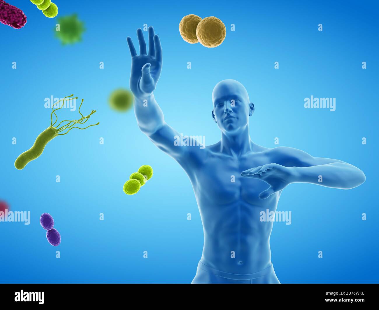 Immune system, conceptual computer illustration Stock Photo - Alamy