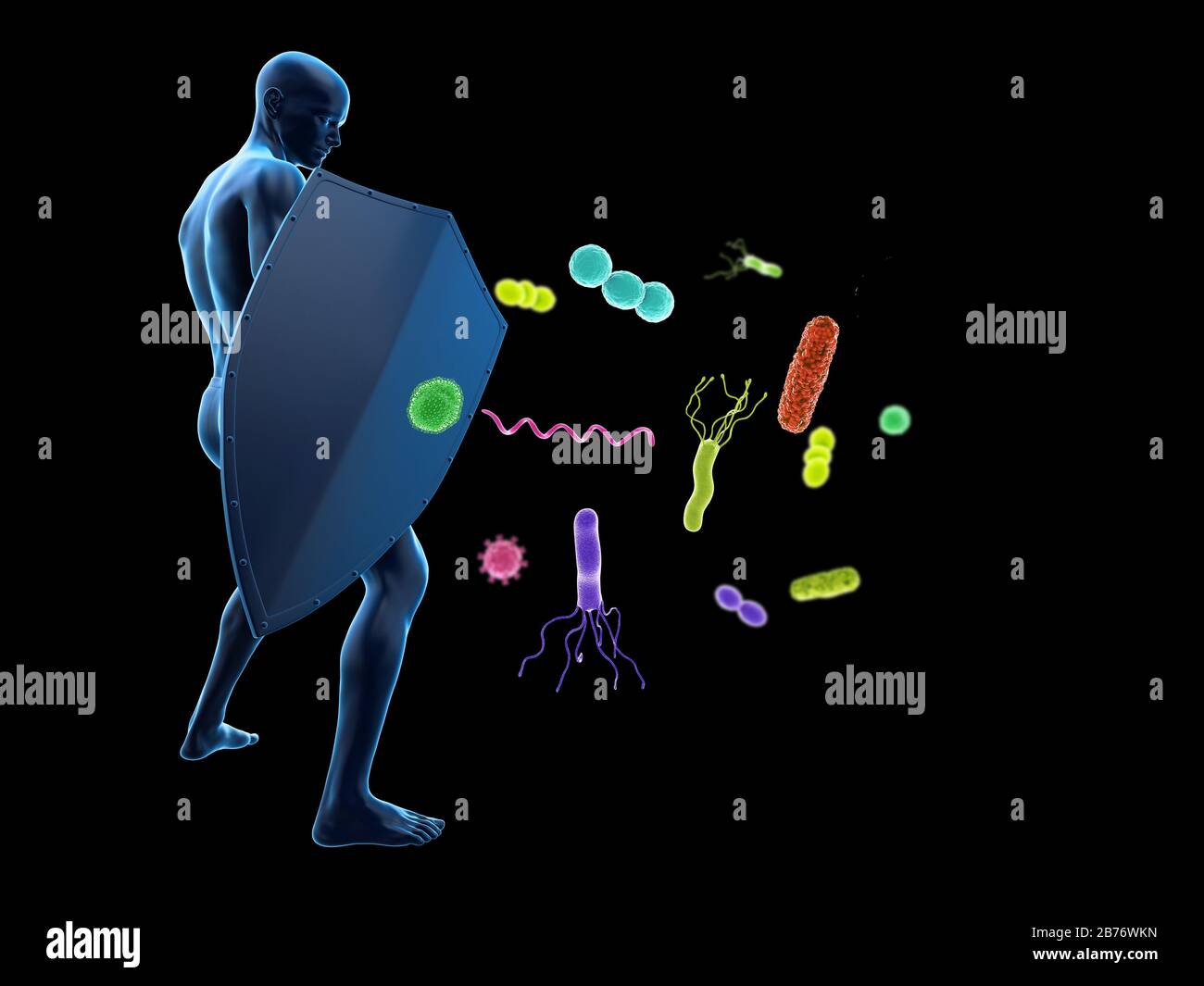Immune system, conceptual computer illustration Stock Photo - Alamy