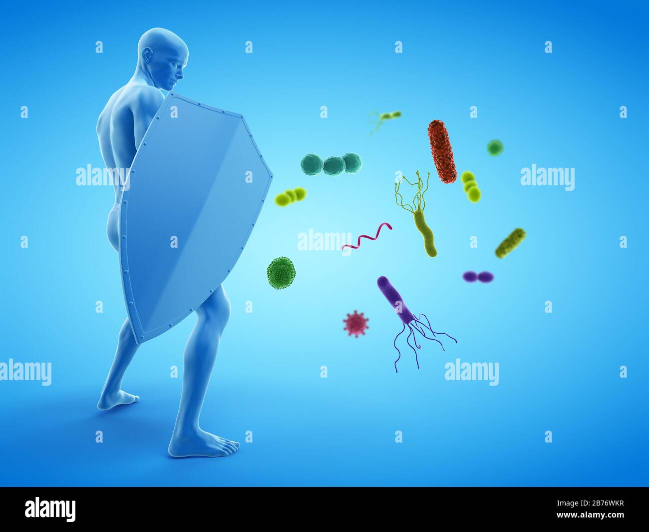 Immune system, conceptual computer illustration Stock Photo - Alamy