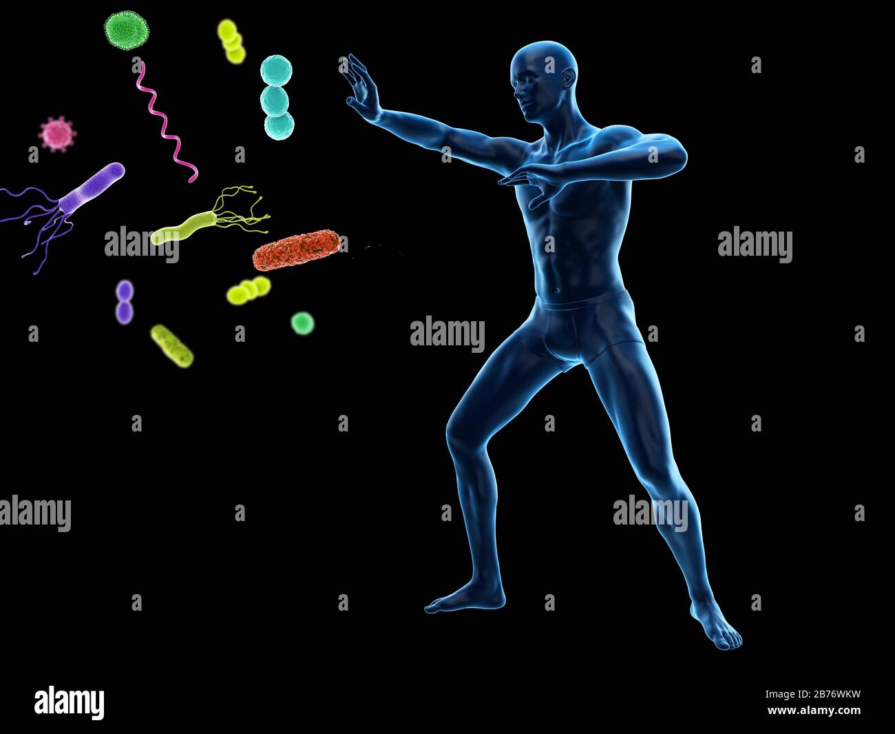 Immune system, conceptual computer illustration Stock Photo - Alamy
