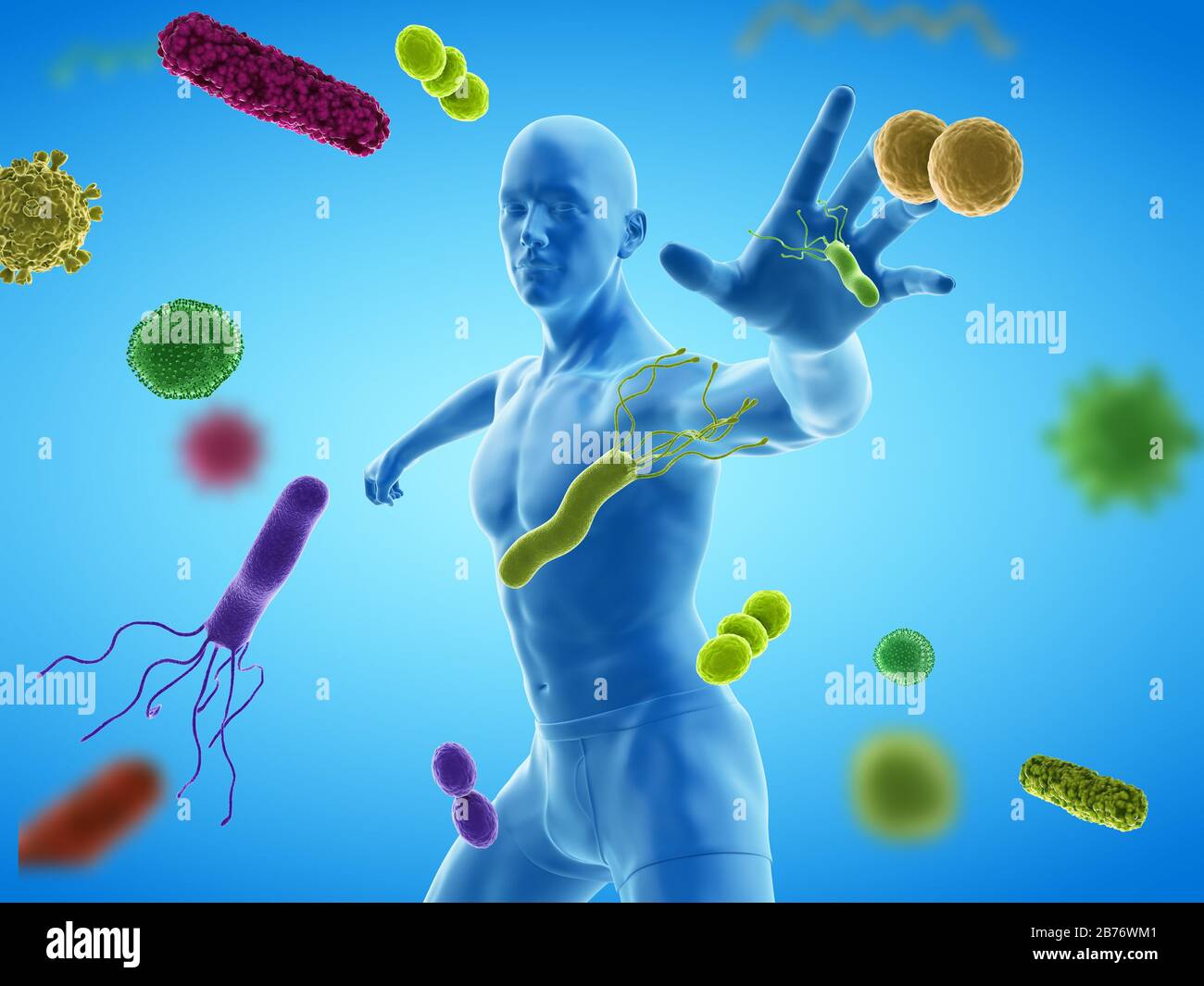 Immune system, conceptual computer illustration Stock Photo - Alamy