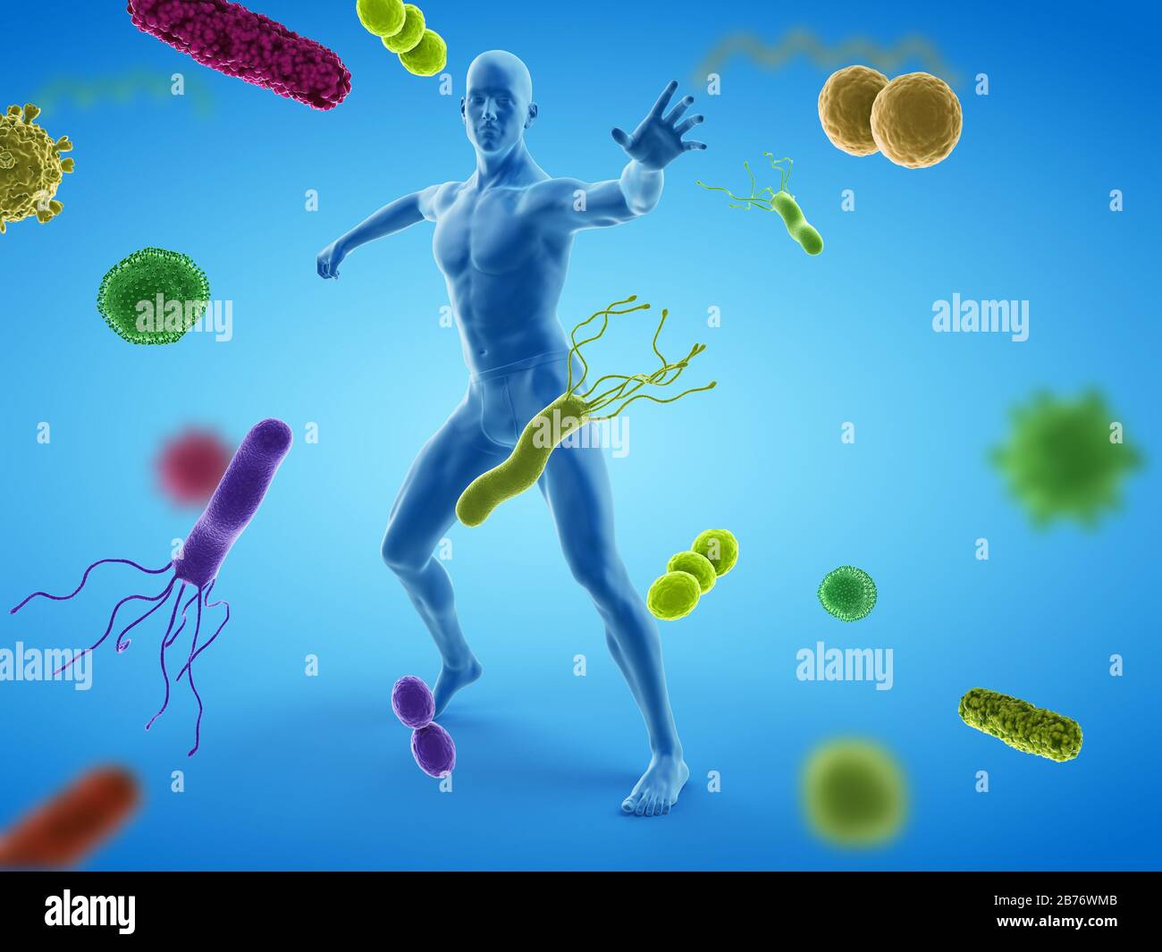 Immune system, conceptual computer illustration Stock Photo - Alamy