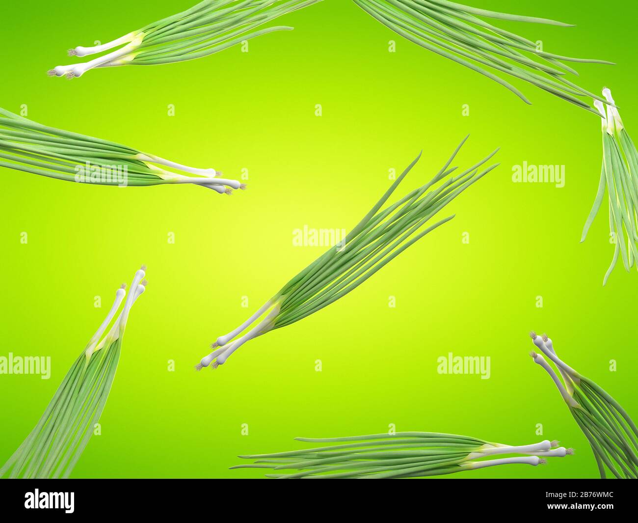 Leek, computer illustration Stock Photo - Alamy