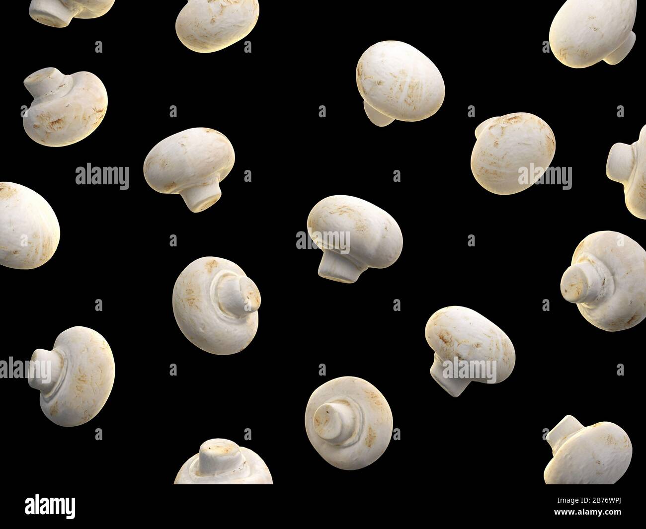 Mushrooms, computer illustration Stock Photo - Alamy