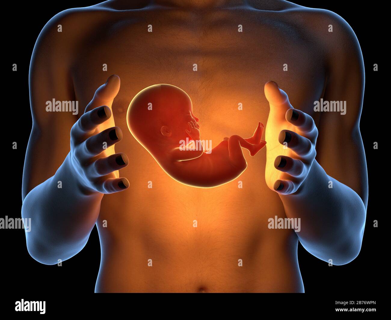 Man holding a fetus, computer illustration Stock Photo - Alamy