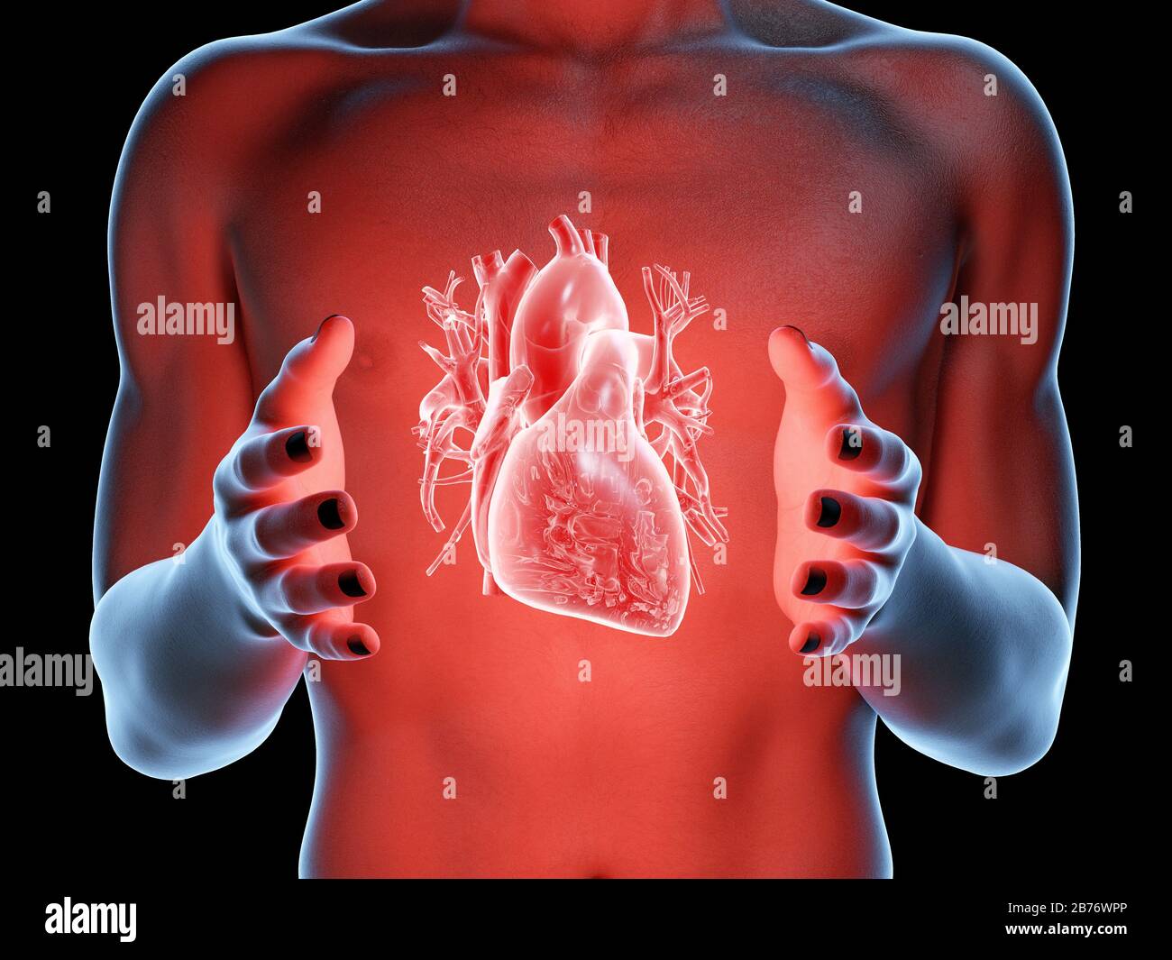 Heart illustration hi-res stock photography and images - Alamy