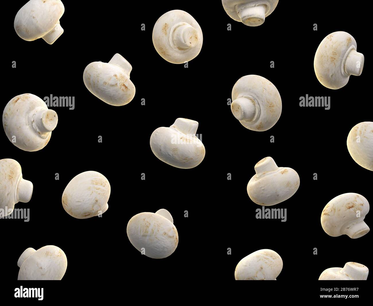 Mushrooms, computer illustration Stock Photo - Alamy