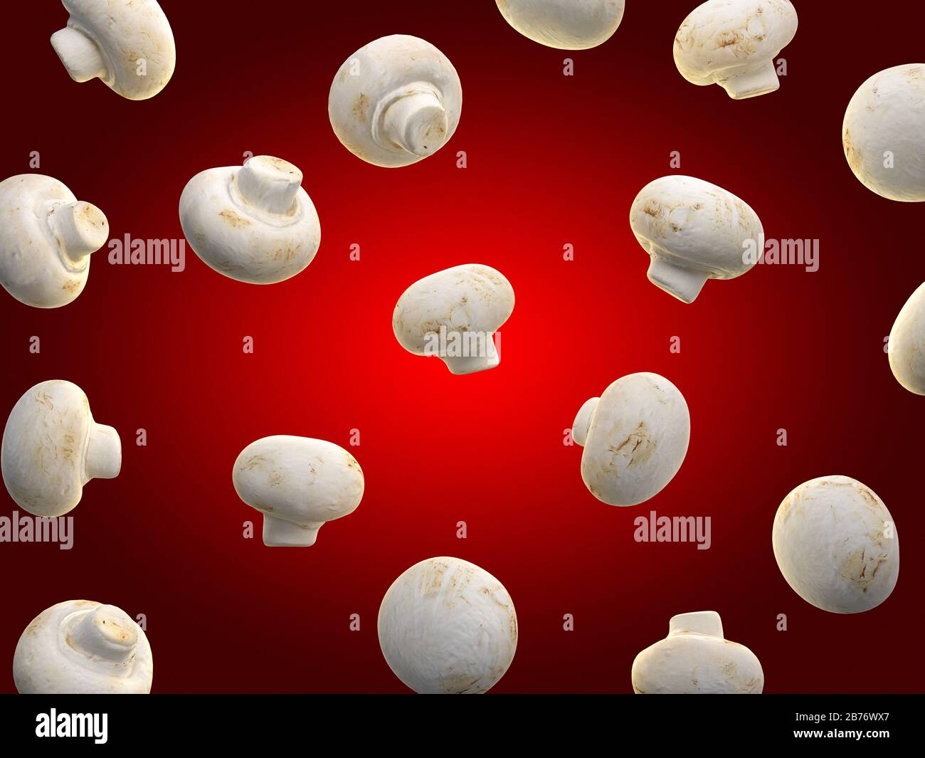Mushrooms, computer illustration Stock Photo - Alamy