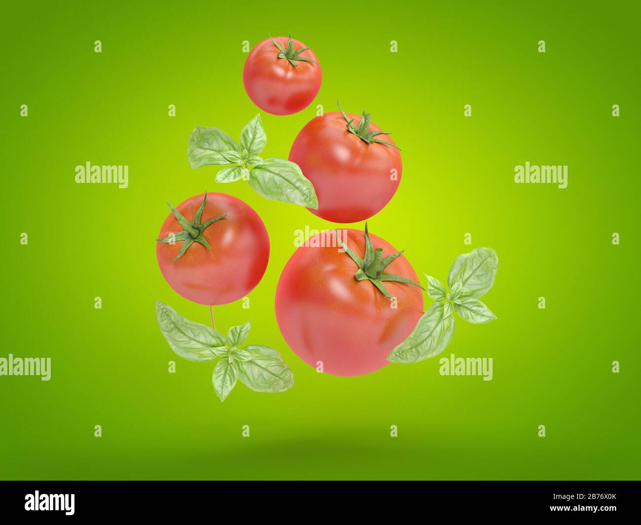 Tomatoes and basil, computer illustration Stock Photo - Alamy
