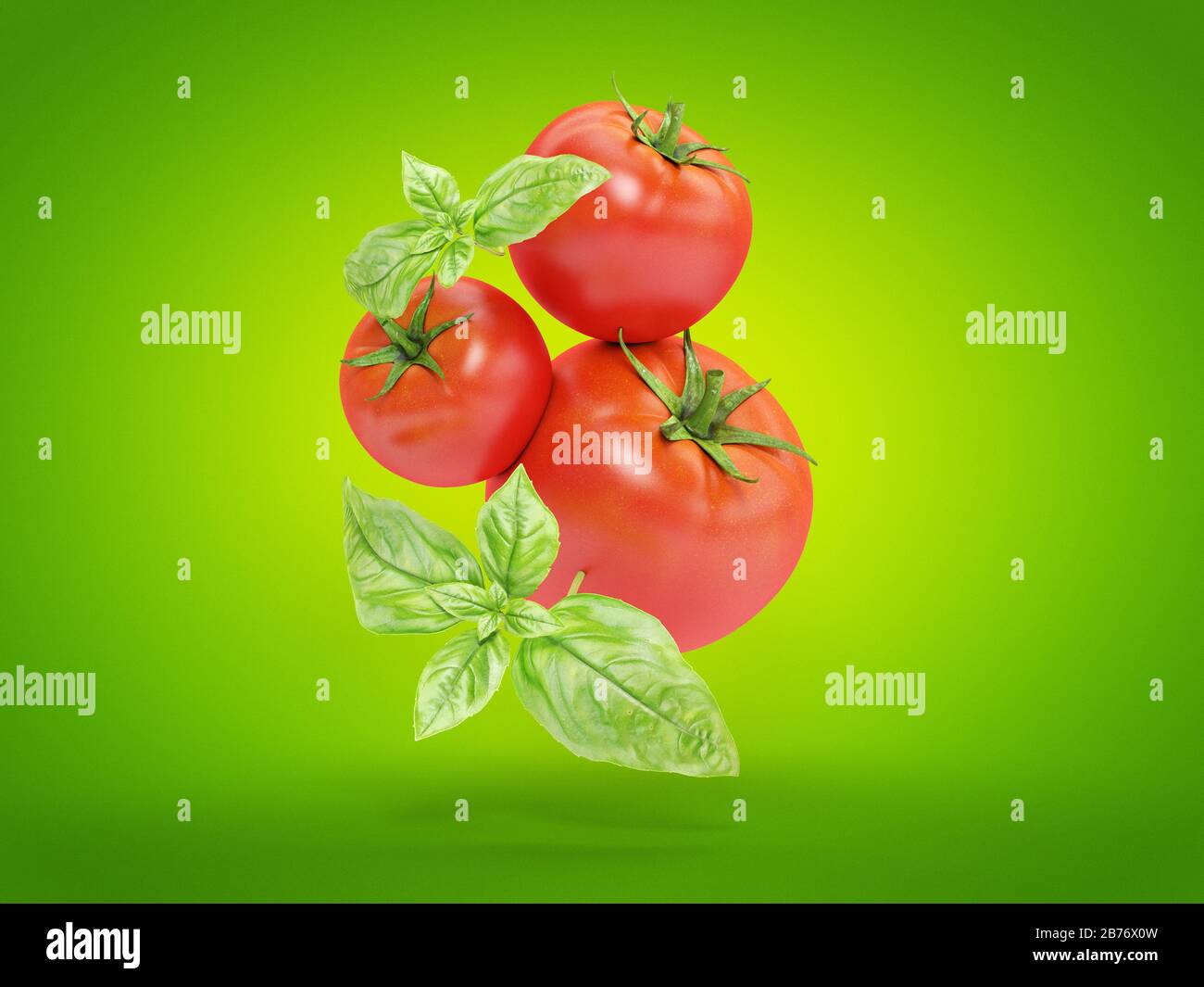 Tomatoes and basil, computer illustration Stock Photo - Alamy