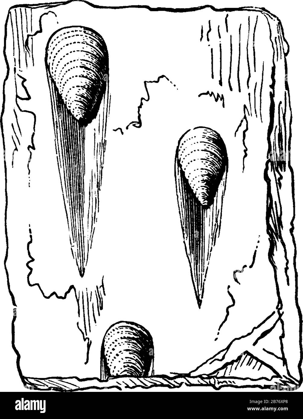 Rill Stock Vector Images - Alamy