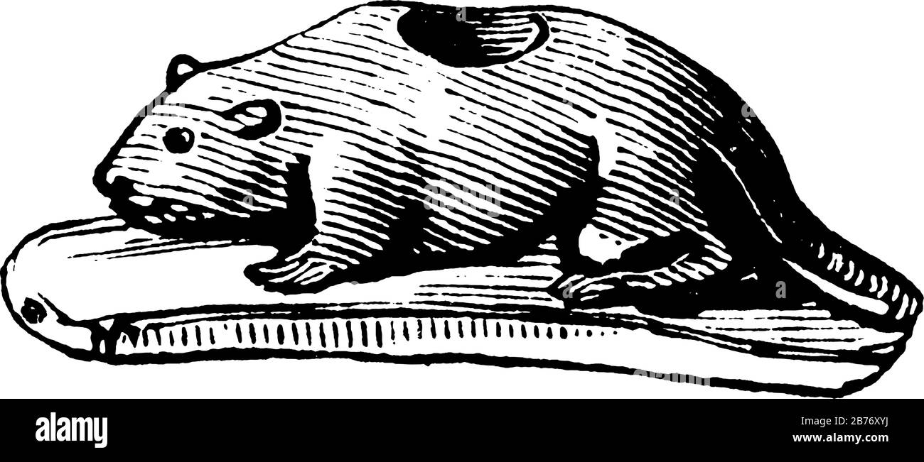 A stone pipe bowl depicting a small rodent made by Native Americans ...