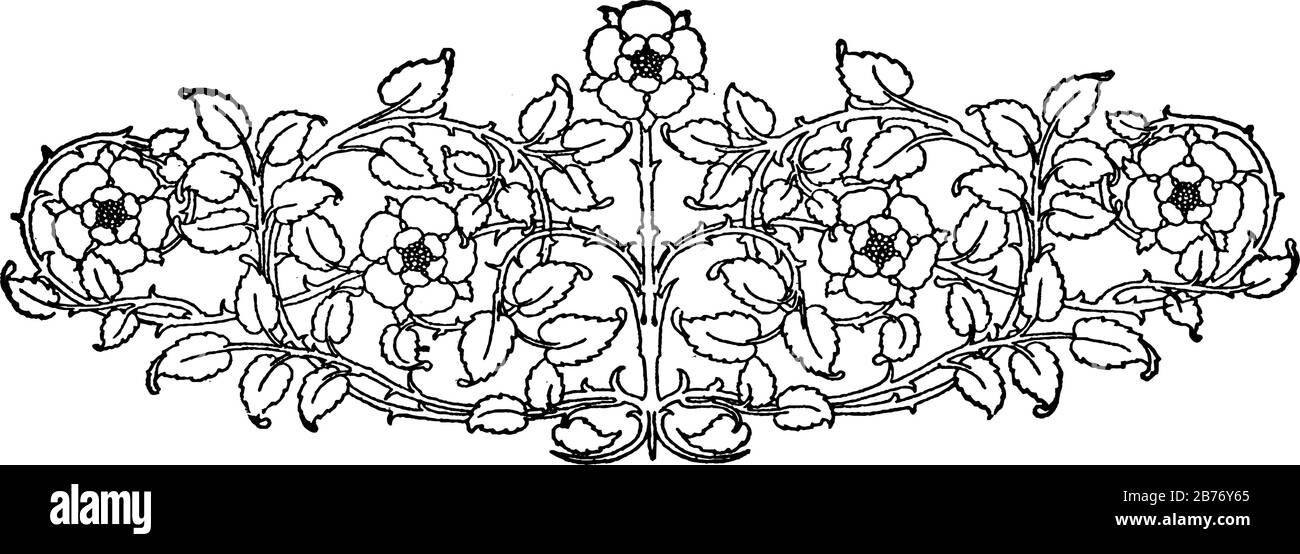 Fancy Flowers Drawings