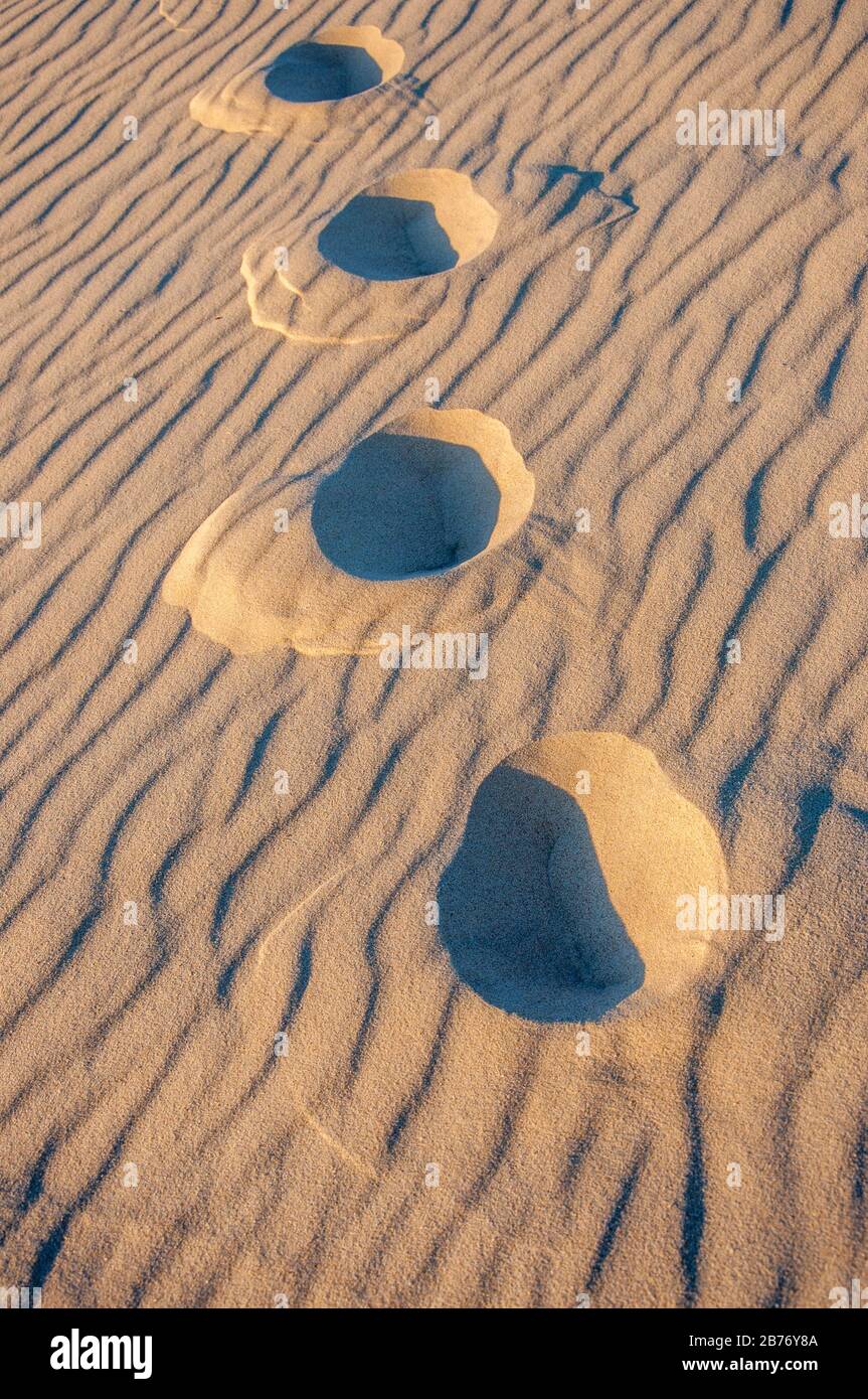 Pillat High Resolution Stock Photography and Images - Alamy