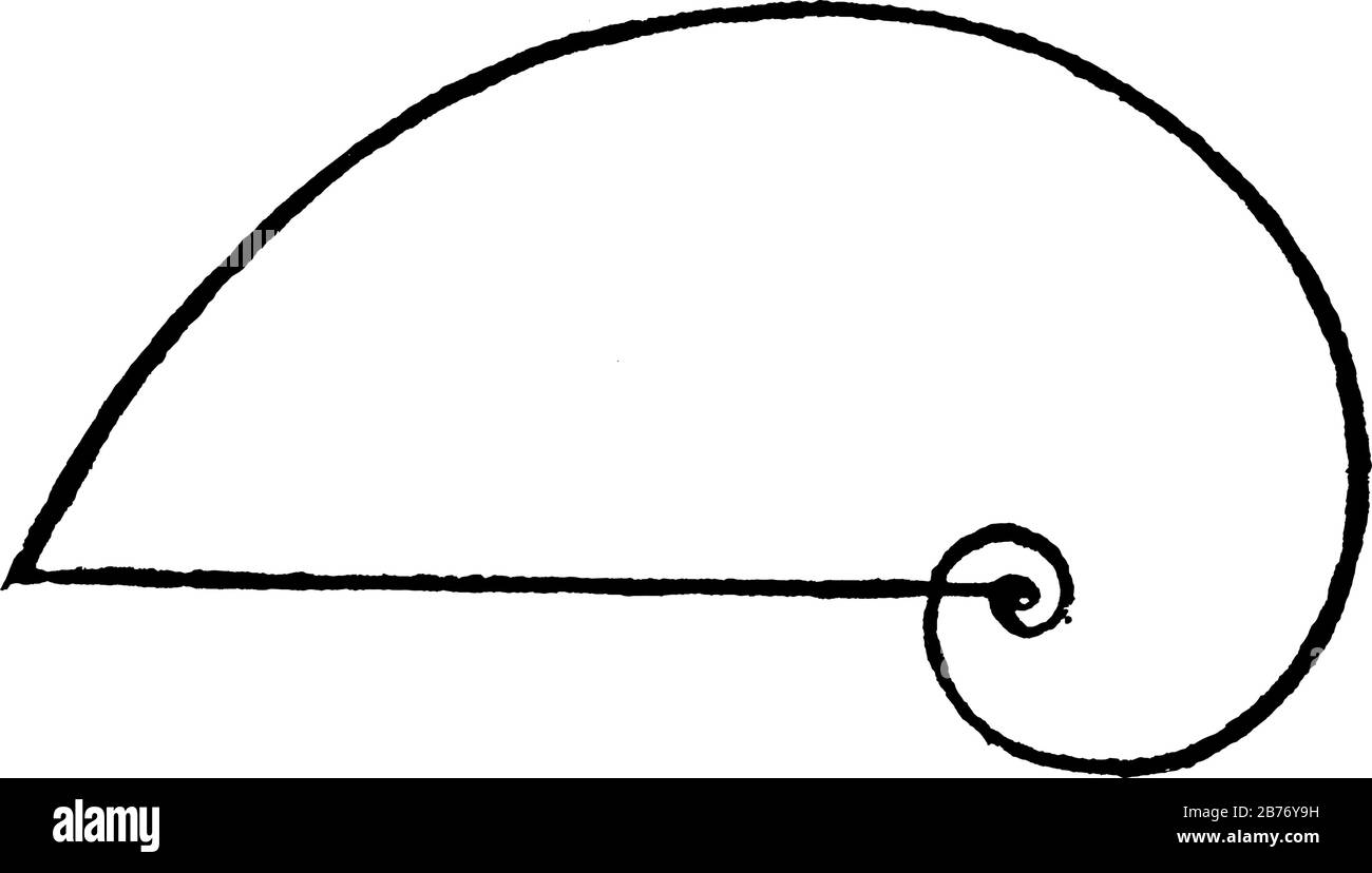 Spiral curve with distance from the start to end is mentioned by line ...