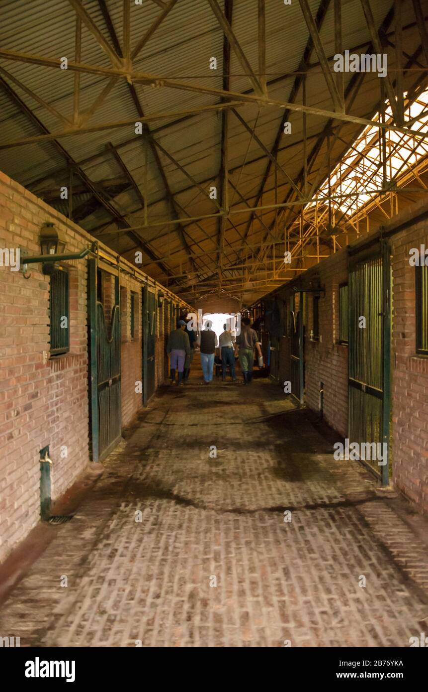 Inside a bricks stable with four people walking away Stock Photo - Alamy