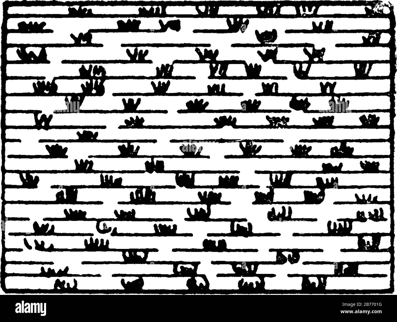 The representation of the fresh marsh, on a topographical map, vintage ...