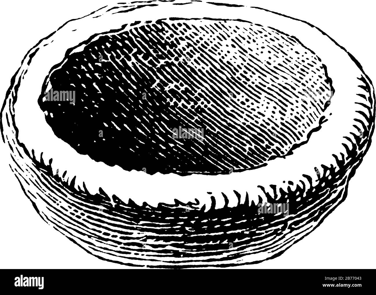 Native american mortar and pestle Stock Vector Images - Alamy