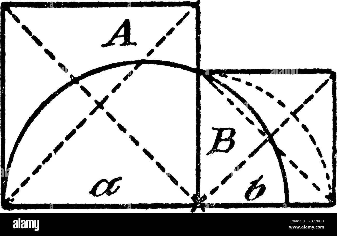 A model of geometric proportions that illustrates the following ...