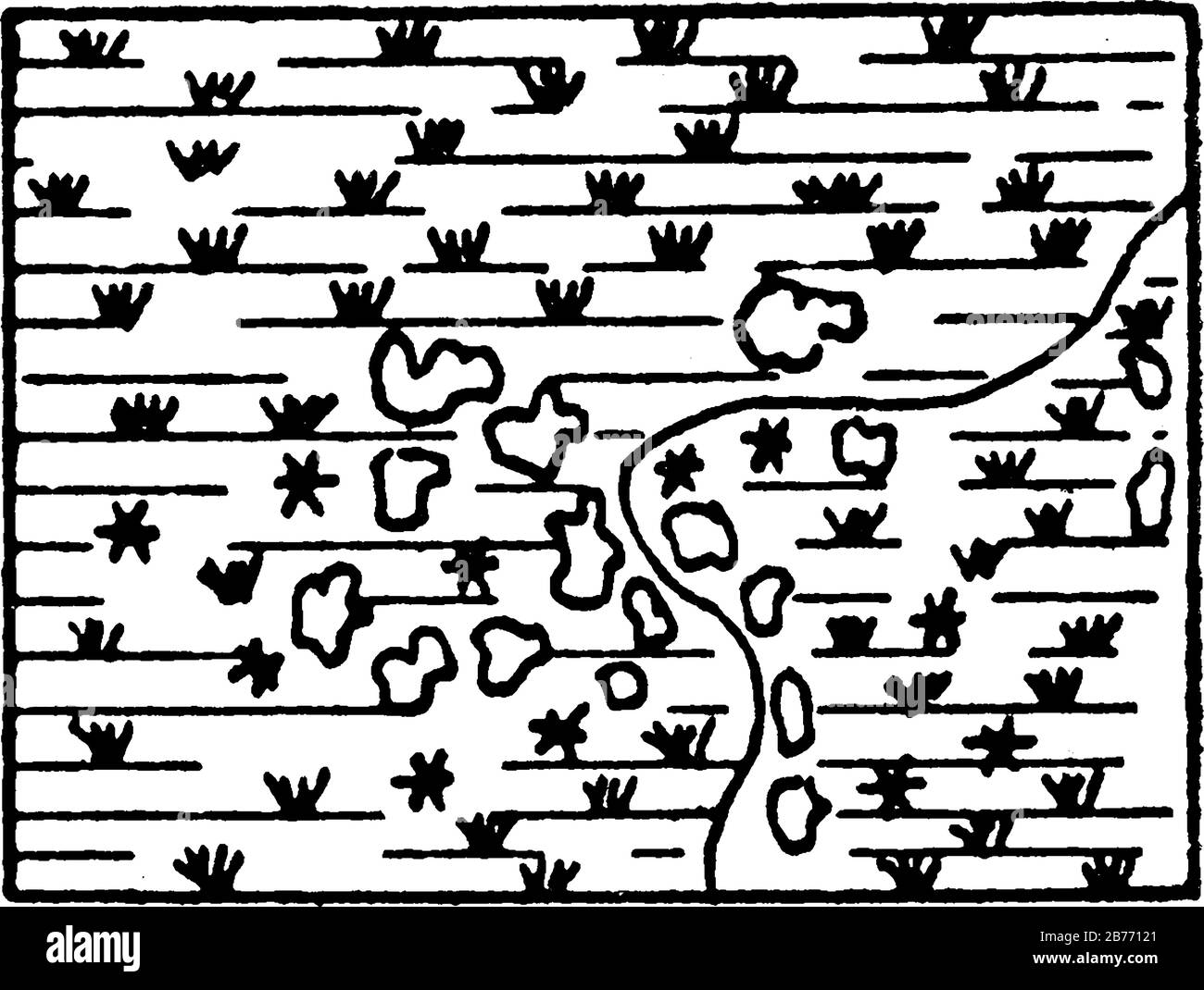 Black marsh Stock Vector Images - Alamy