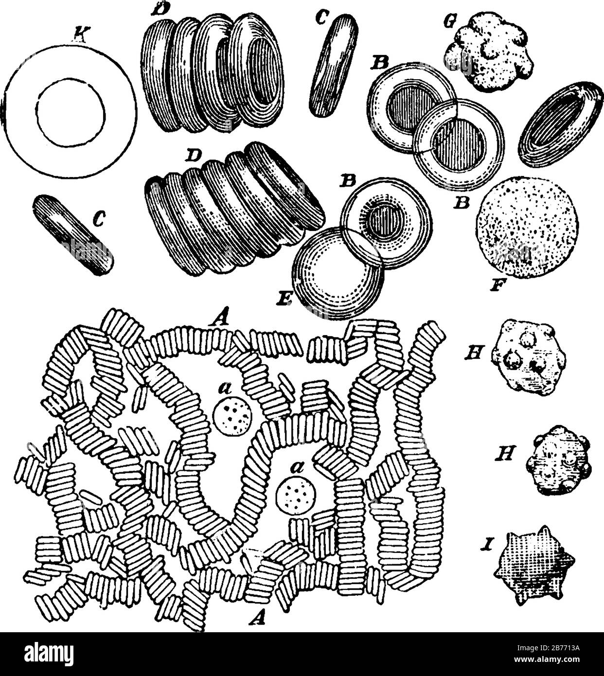 Vintage line drawing hi-res stock photography and images - Alamy