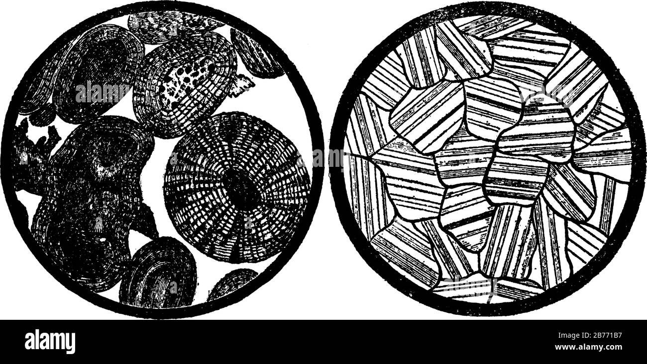 Microscopic Structure of white Statuary marble that areof a pure white ...