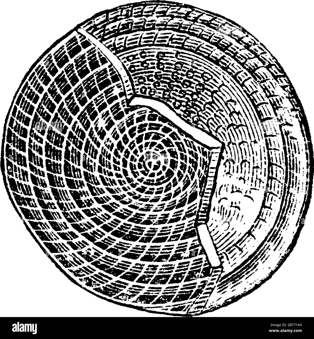 Nummulite fossil Black and White Stock Photos & Images - Alamy