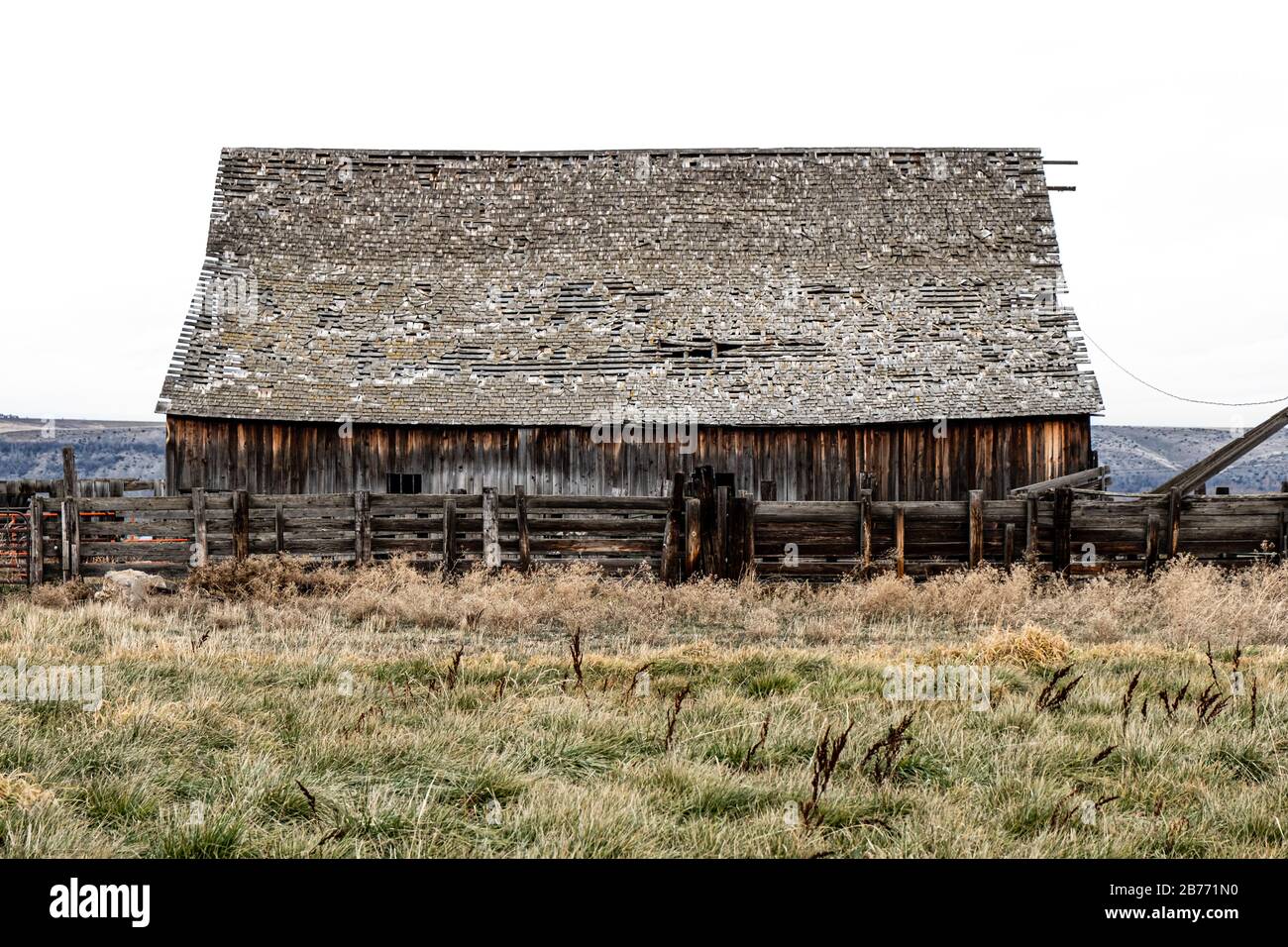 An old barn in the middle of wheat crop fields near Pullman, WA Stock ...