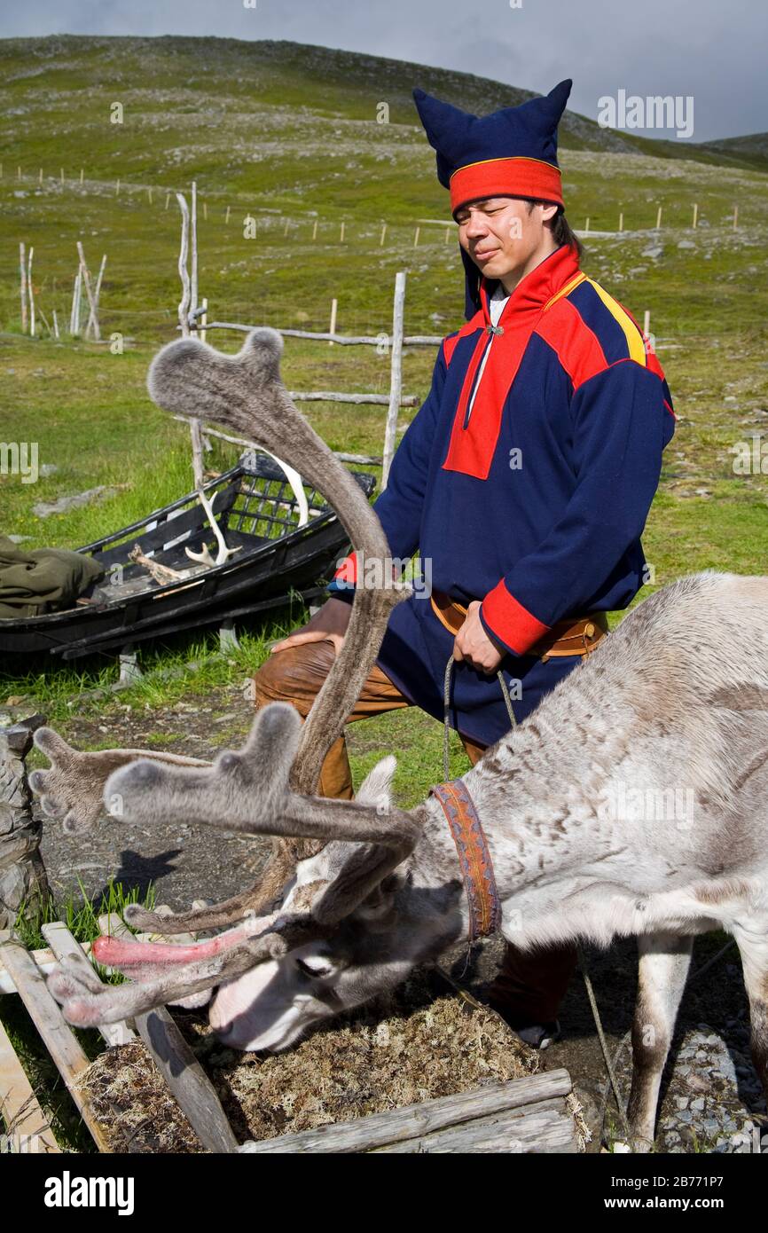 Sami people arctic hi-res stock photography and images - Alamy