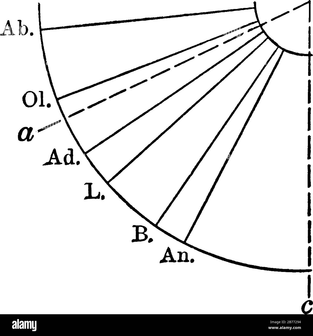 A typical representation of the, Extinction angles on the (010) faces ...