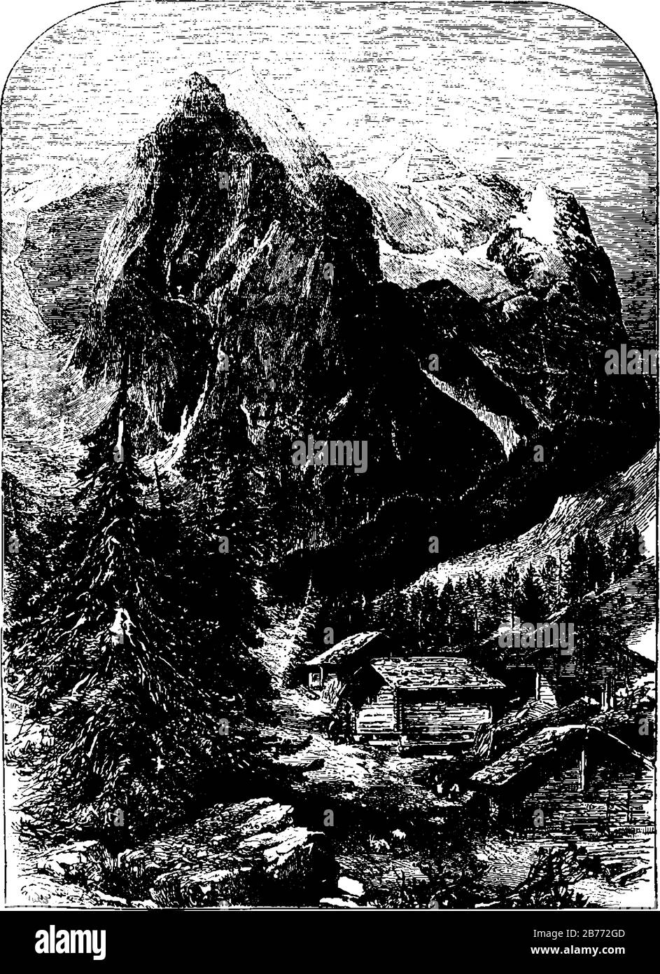 Trees in forest mountain Stock Vector Images - Alamy