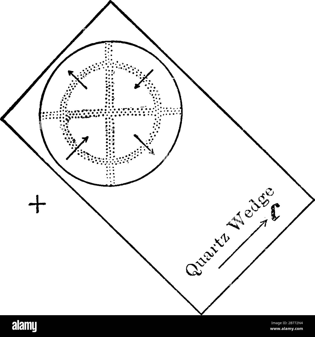 A positive uniaxial interference figure. The arrows indicate the ...