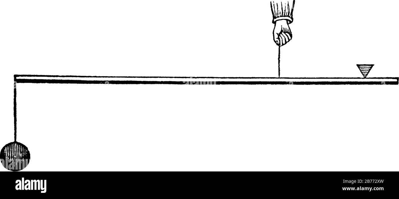 it is an image of a third class lever, showing three different size of ...