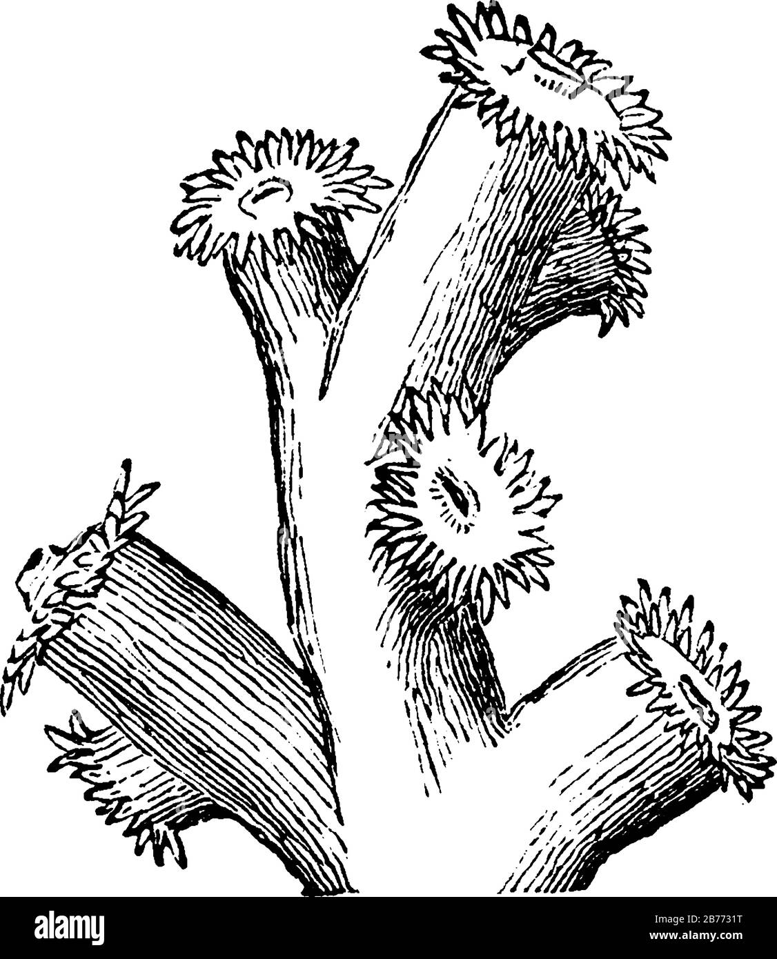 Images of the ocean Black and White Stock Photos & Images - Alamy