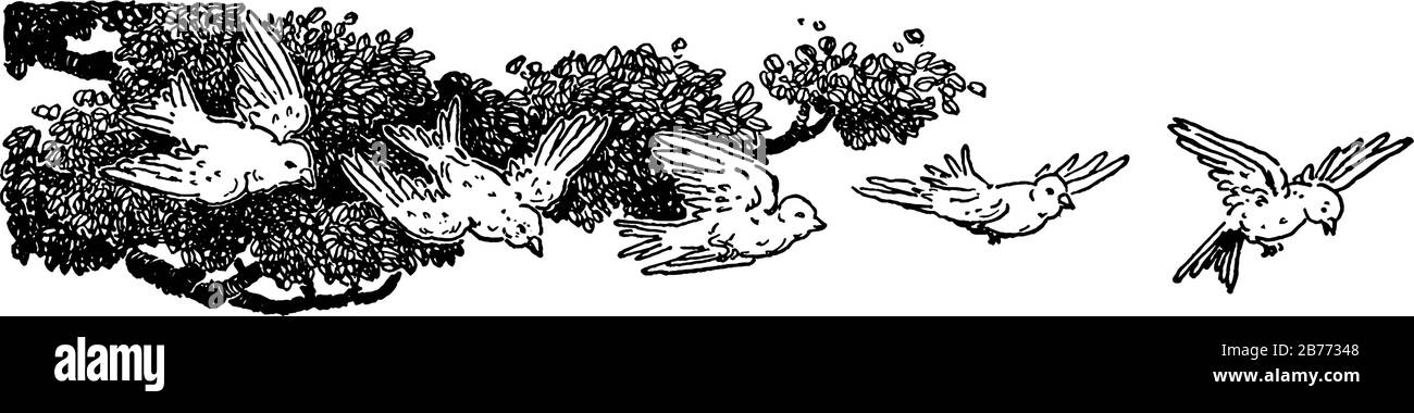 Five birds taking flight from a tree, its showing flying birds in the ...