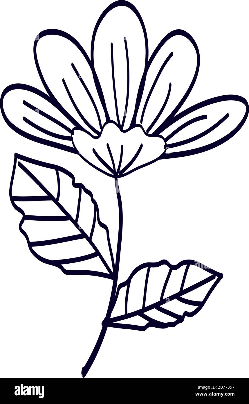 cute flower with branch and leafs line style icon Stock Vector Image ...