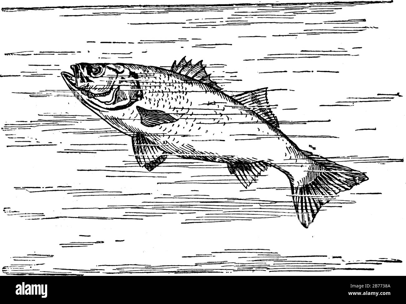 Chair i Stock Vector Images - Alamy