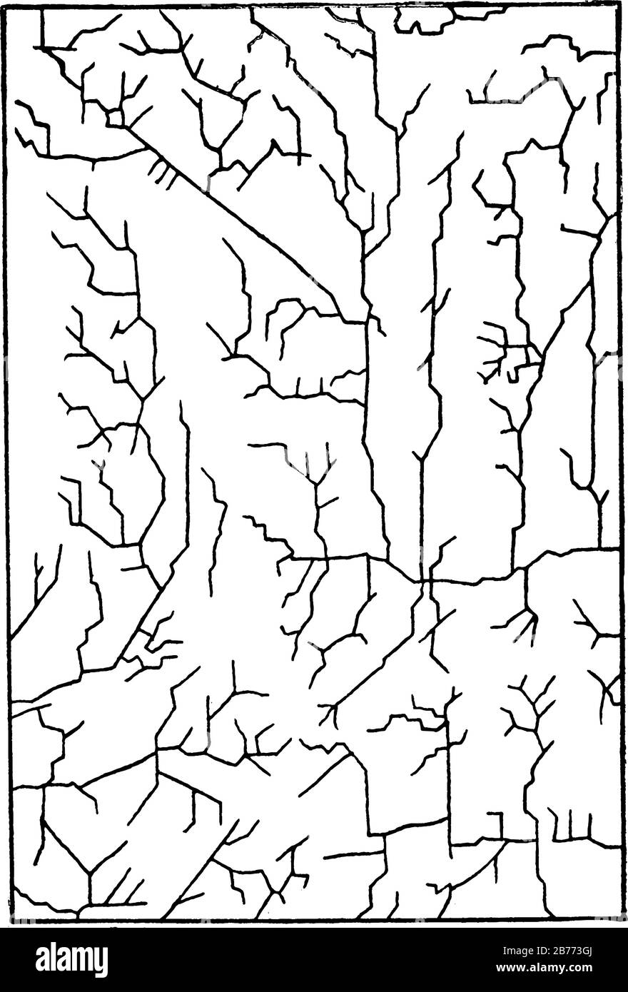 Joints line Stock Vector Images - Alamy