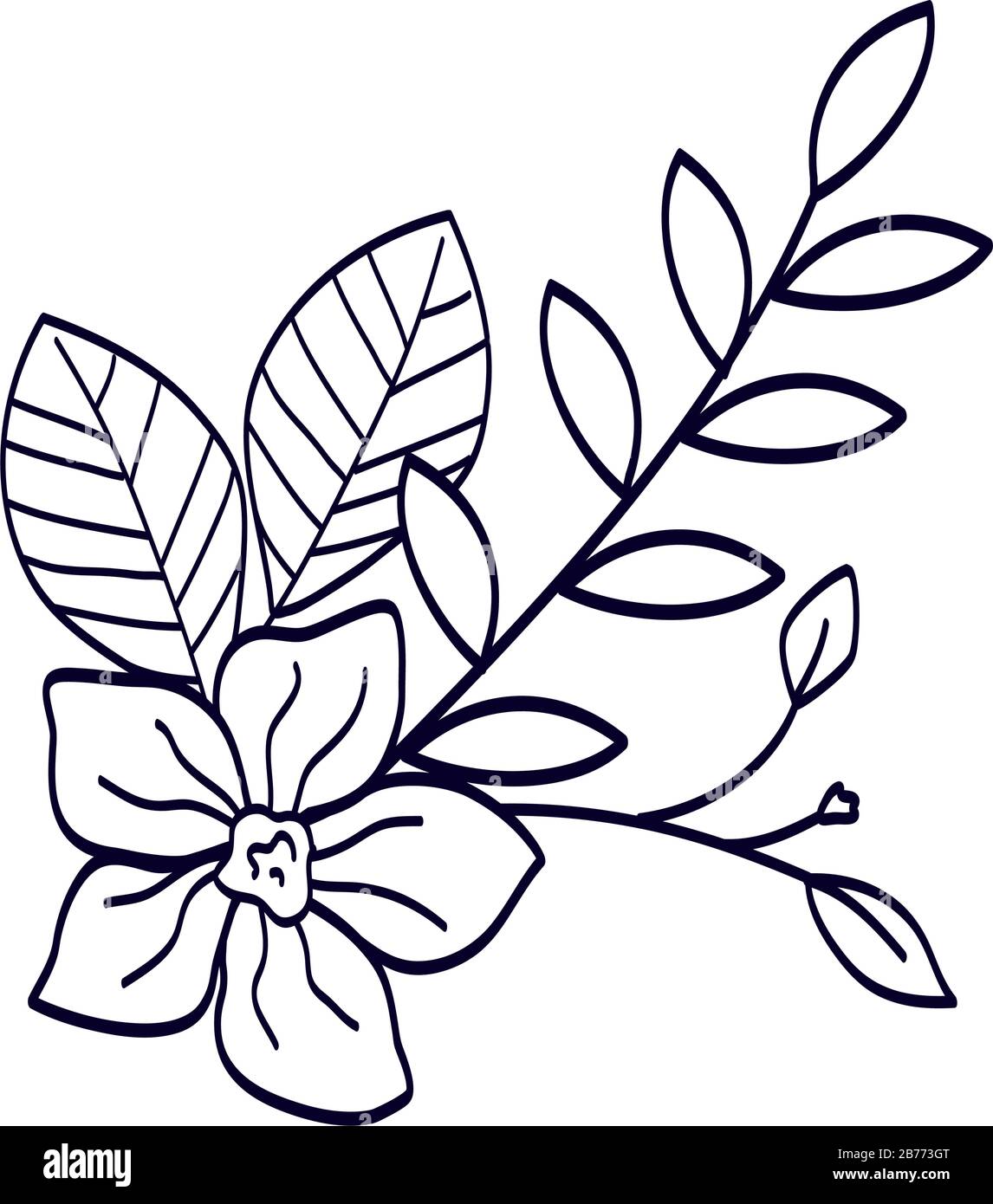 cute flower with branches and leafs line style icon Stock Vector Image ...