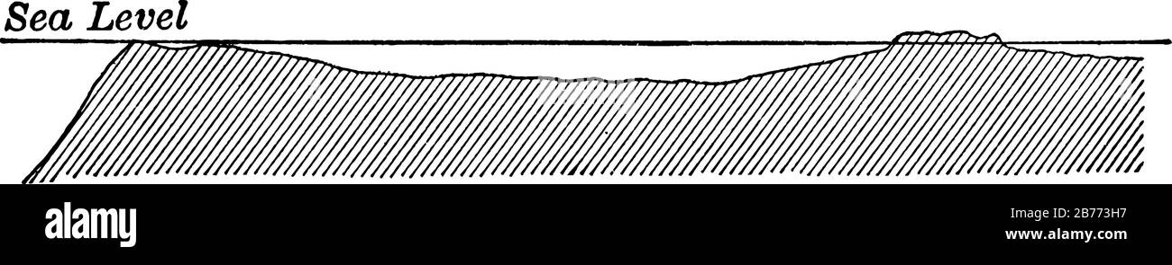 A section of an actual coral reef, showing the formation: two sides ...