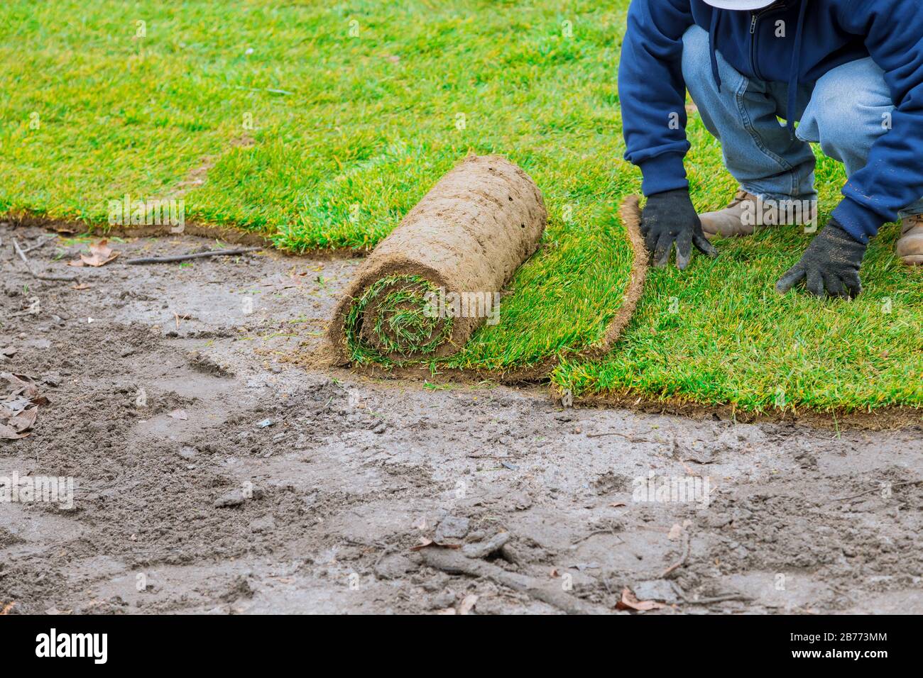 What Is Sod? How To Use, Types, And Cost, 60% OFF