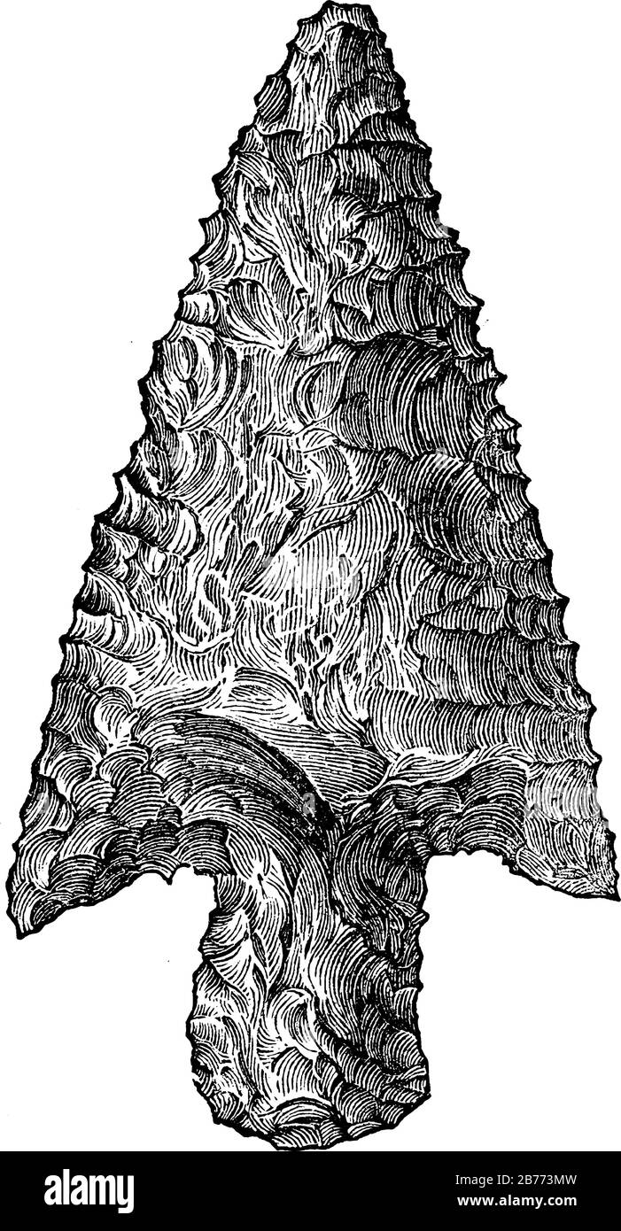 Flint arrow-head (Neolithic/New Stone Age), a tip, usually sharpened ...