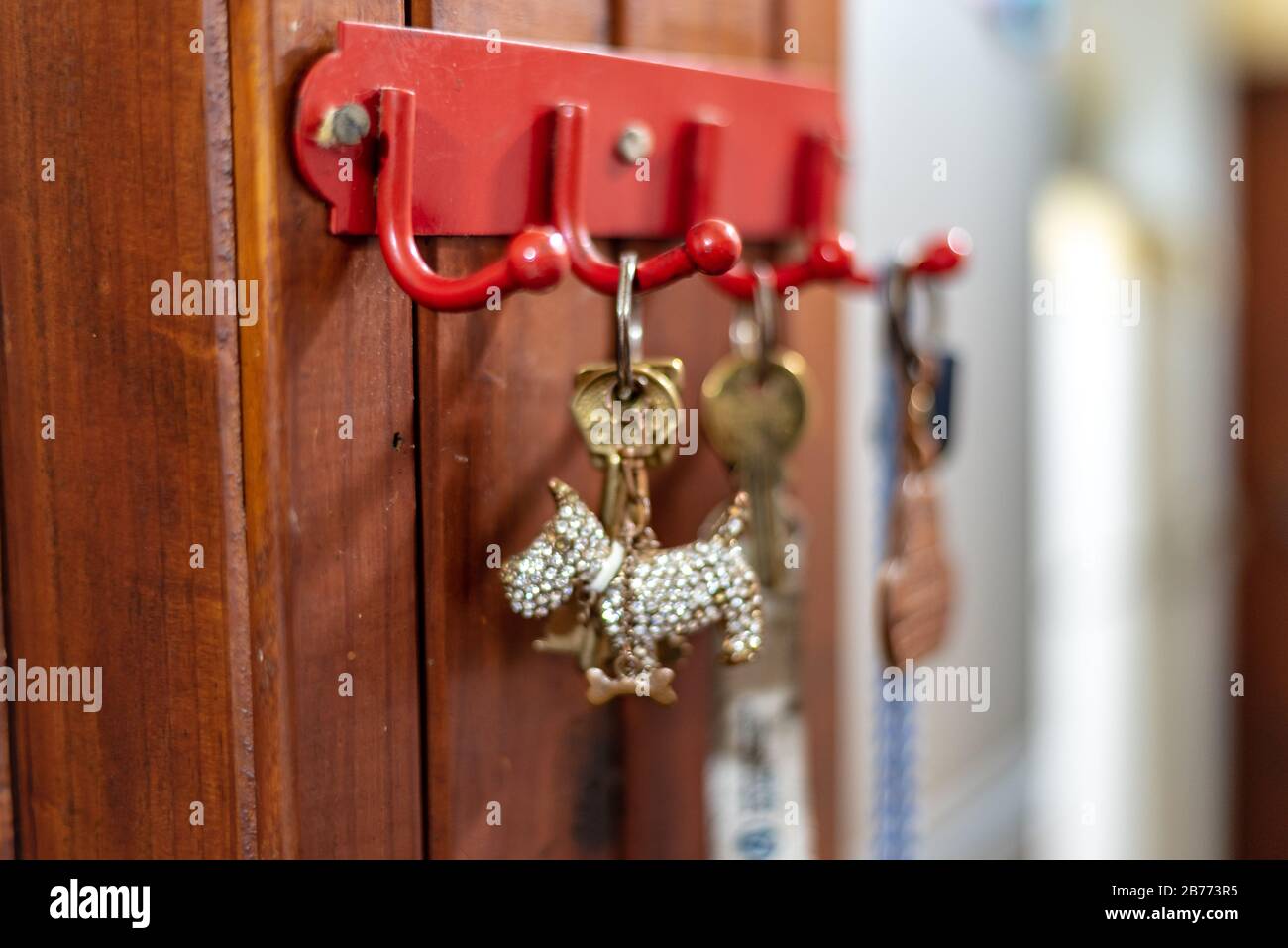 Key chain dog hi-res stock photography and images - Alamy