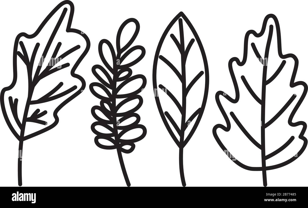 Isolated natural leaves vector design Stock Vector Image & Art - Alamy