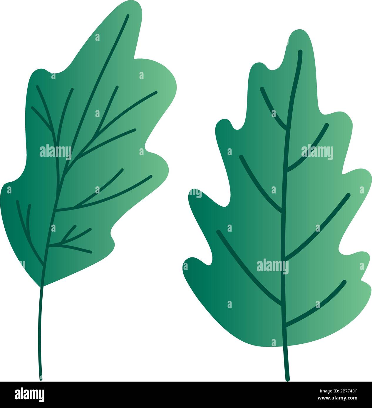 Isolated natural leaves vector design Stock Vector Image & Art - Alamy