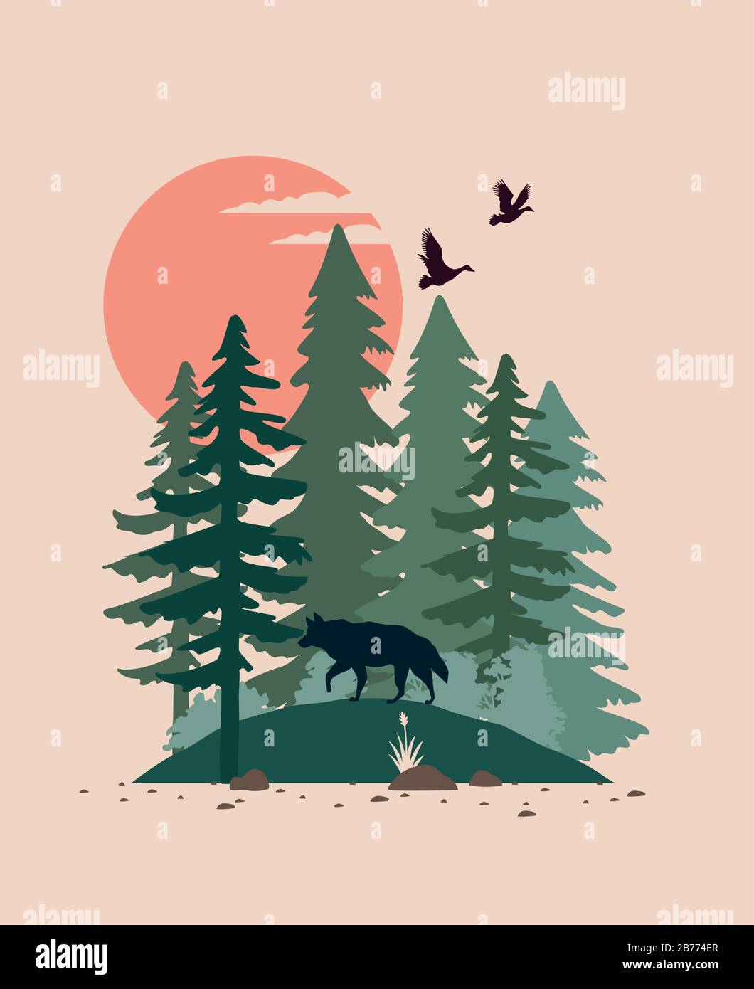 Wolf in natural environment Stock Vector Images - Alamy