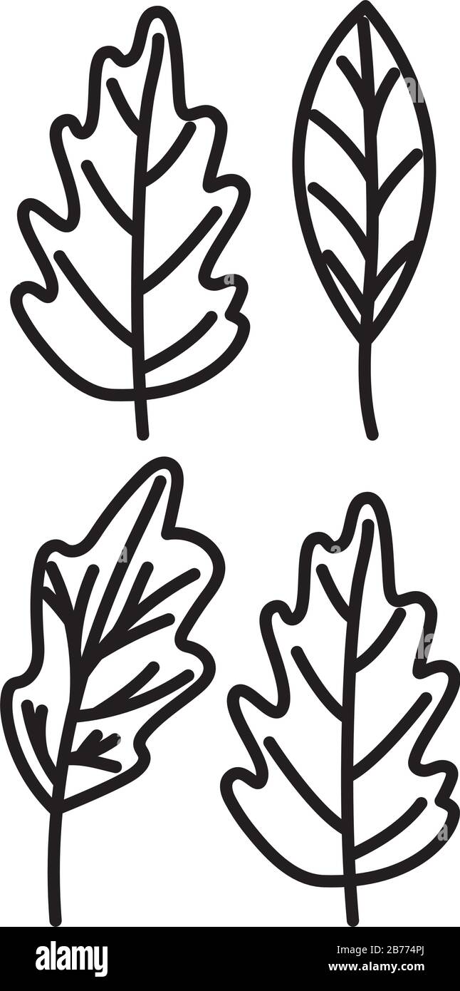 Isolated natural leaves vector design Stock Vector Image & Art - Alamy