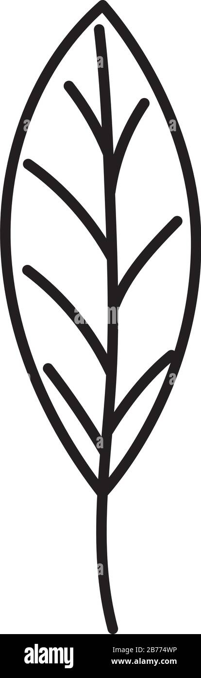 Isolated natural leaf vector design Stock Vector Image & Art - Alamy