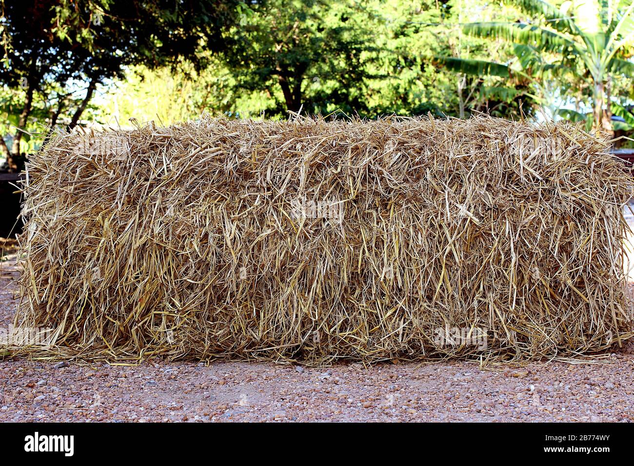 straw, cubic a pile of straw, Dry hay straw block cube background ...